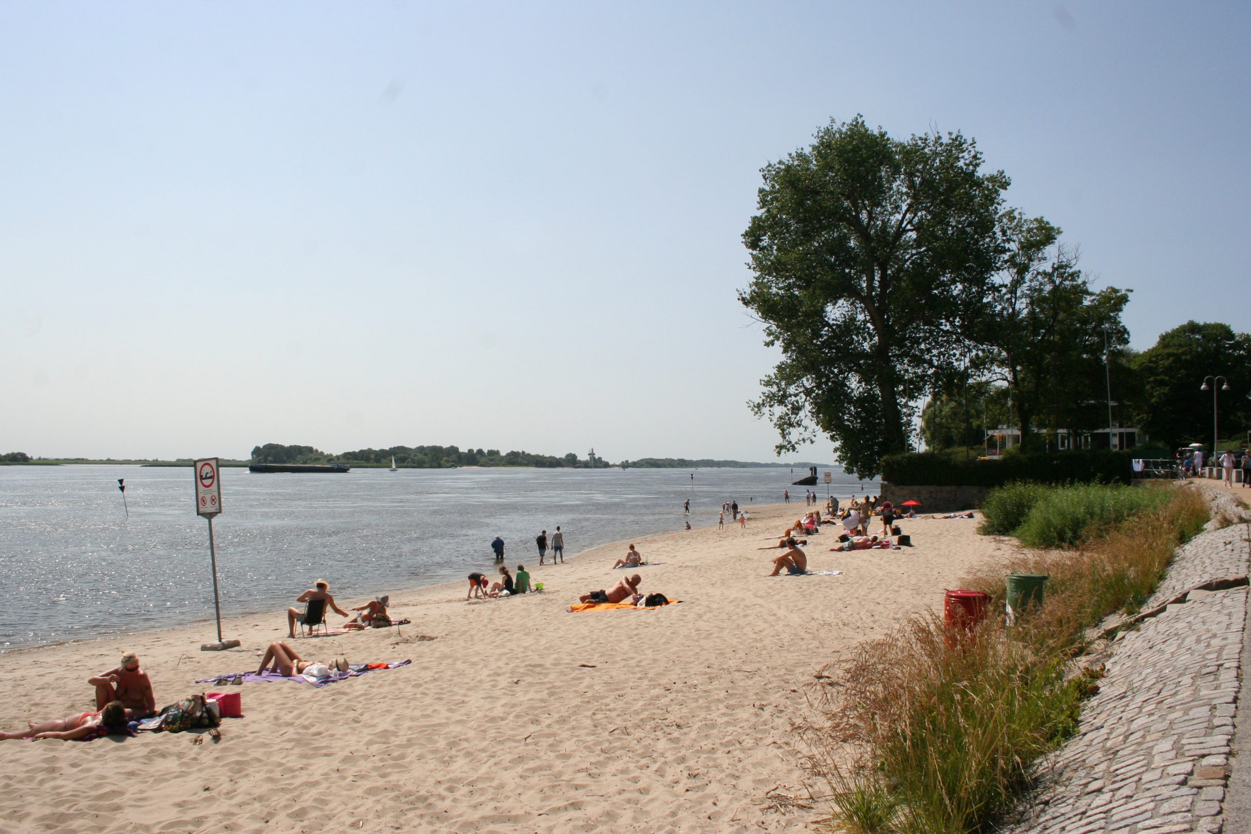 Die Elbe – Wasserstraße oder Badegewässer? - Kloenschnack