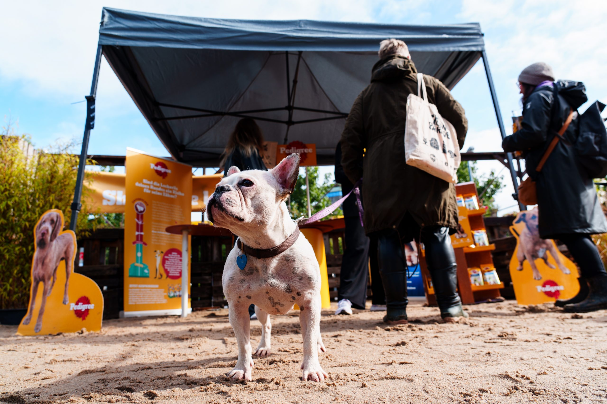 Die zweite Paw Parade in Hamburg - Kloenschnack